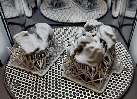 3D tisk přináší do zdravotnictví netušené možnosti | Nemocnice České ...